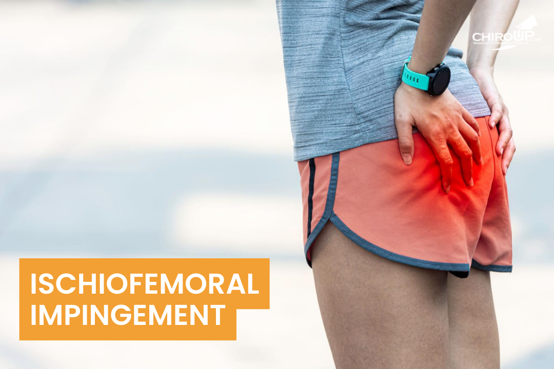 Chiropractic Blog — ChiroUp