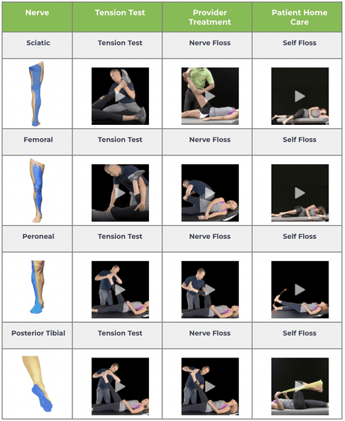 7 Essential Neurodynamic Tests For Sciatica And Lumbar Radiculopathies ...