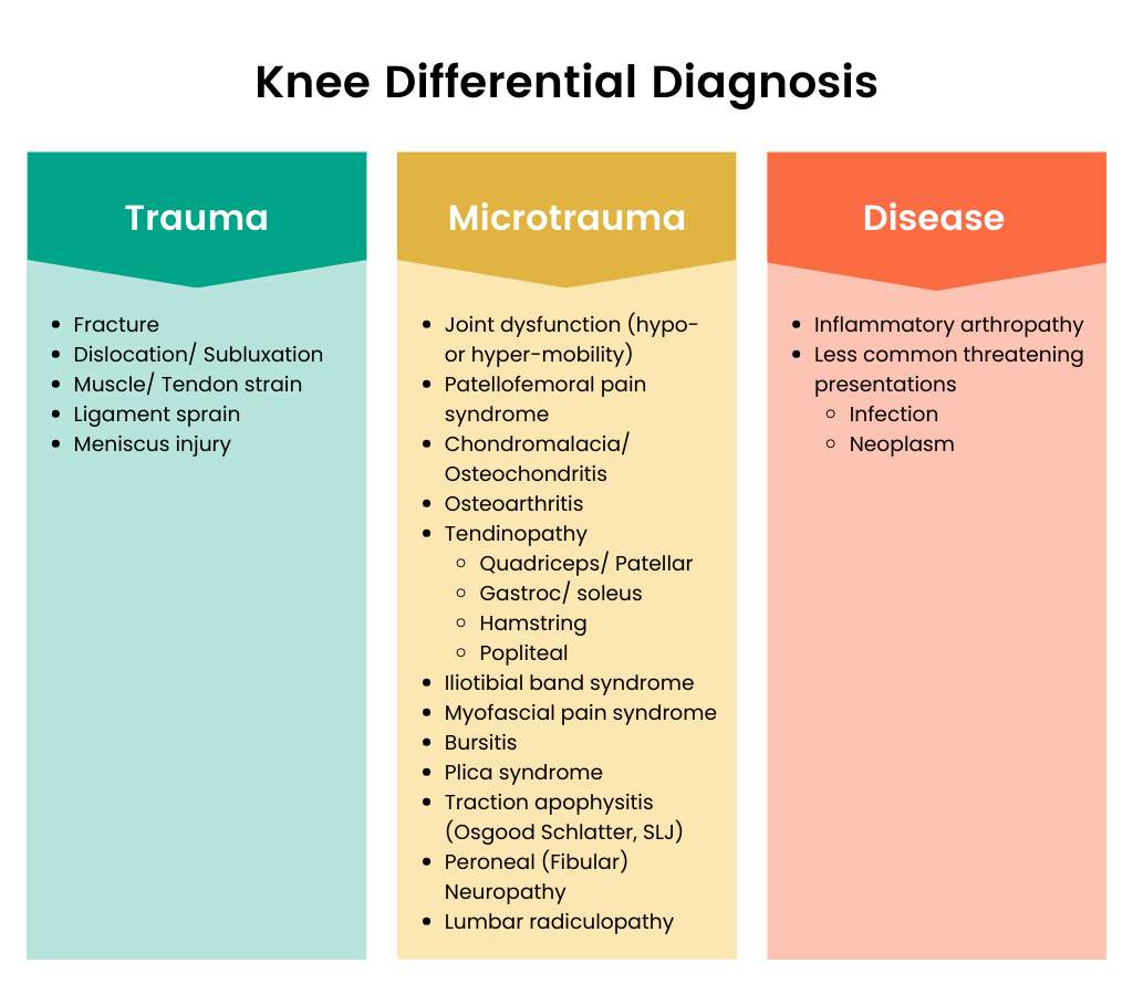 Master the 2-Minute Knee Exam: Essential Tests & Techniques for Knee ...