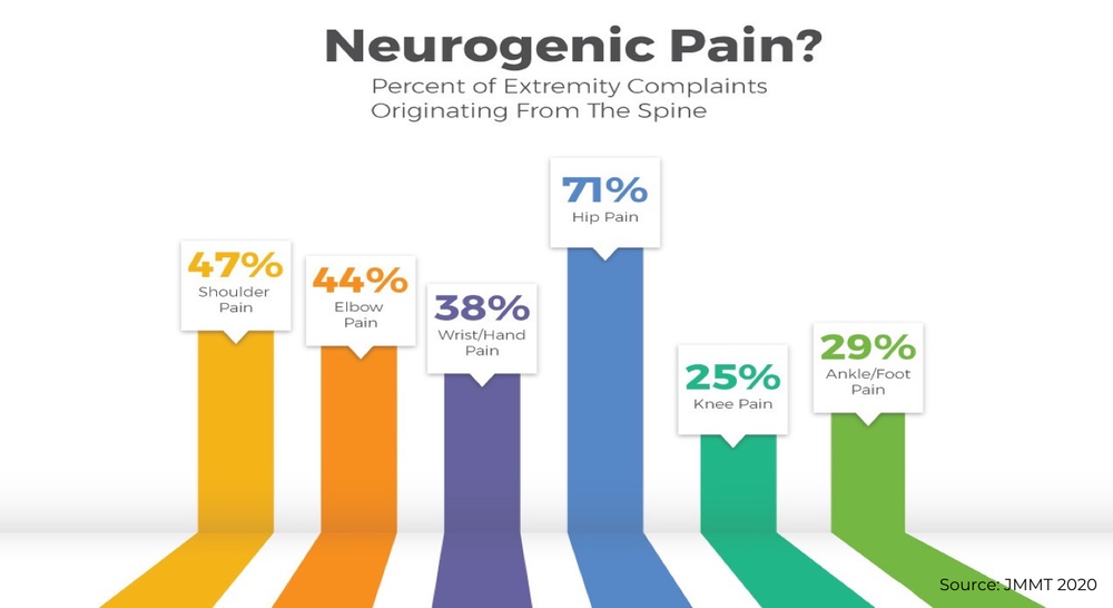 Mastering the Hip Exam: Top Tests for Hip Pain — ChiroUp