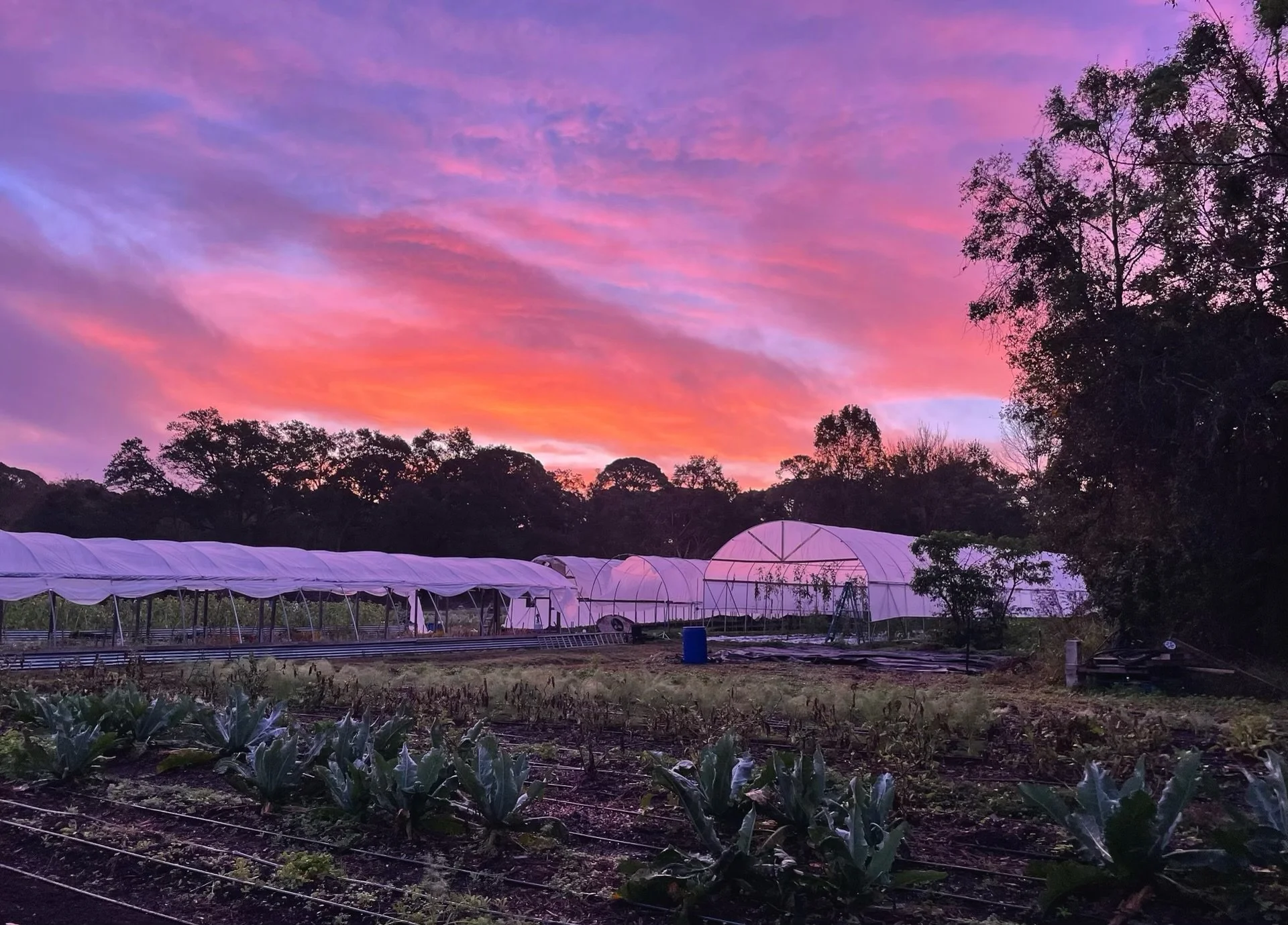 About — Life Farms