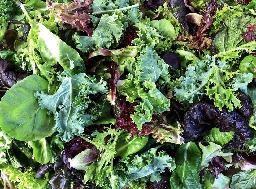 Life Farms | Organically Grown Produce & Flowers | Regenerative Agriculture