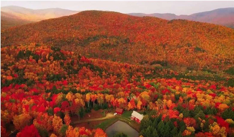 General 2 — Creative Micro 7.1