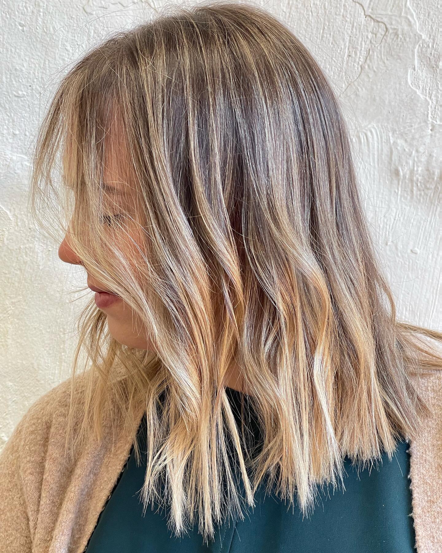 Portfolio — Sage & Rose