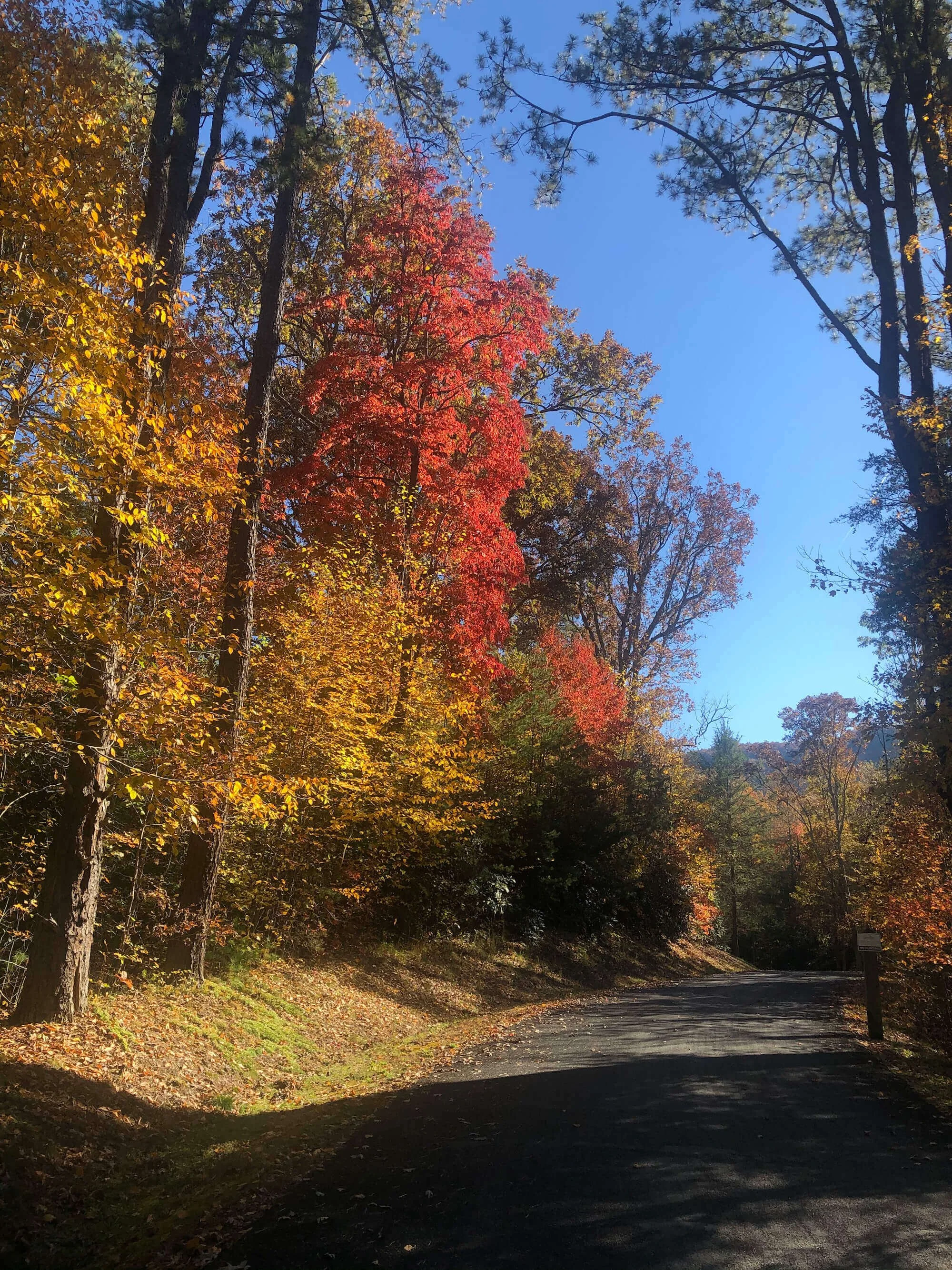 Gallery — Drovers Road Preserve