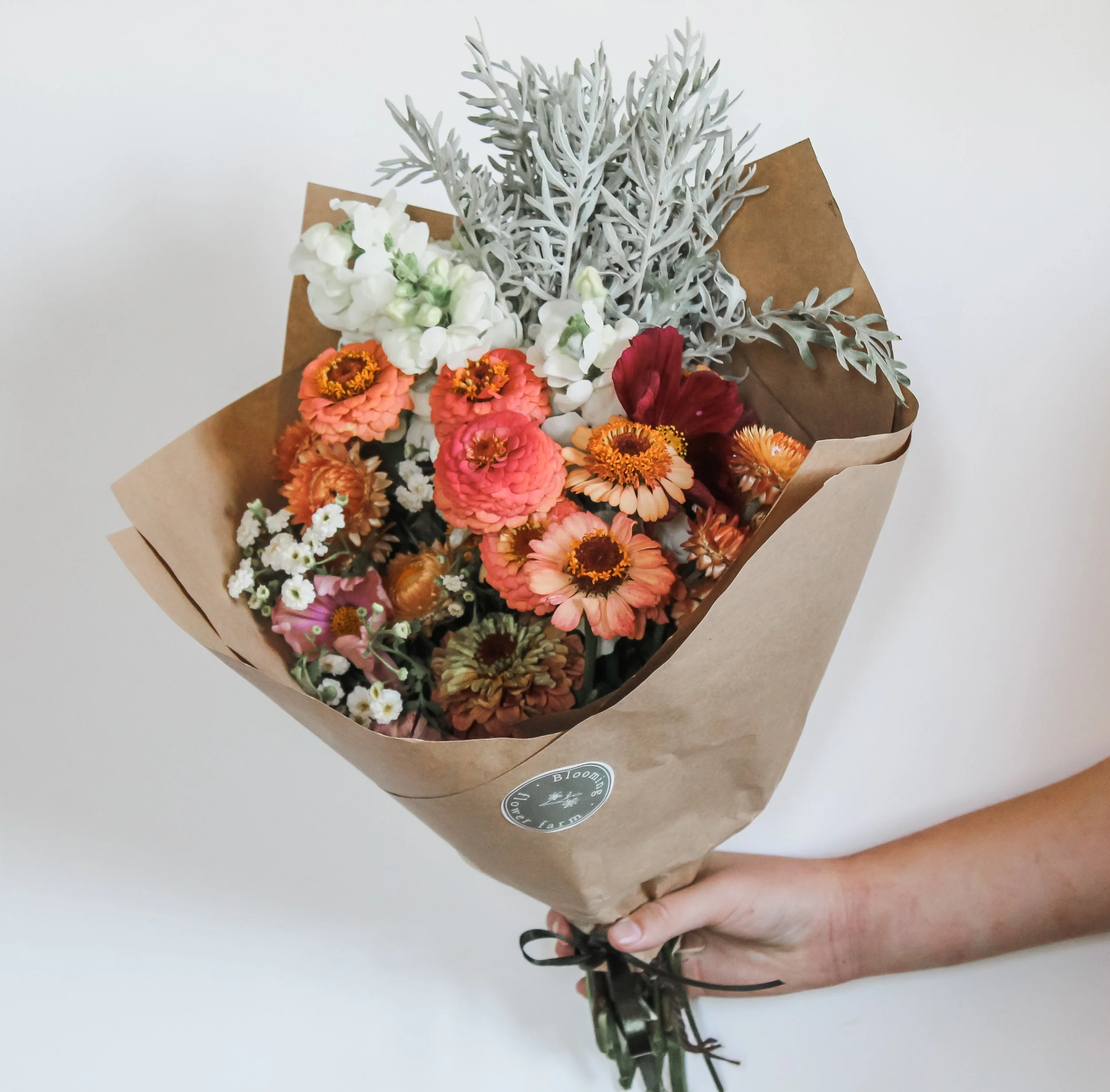 Shop — Blooming Flower Farm