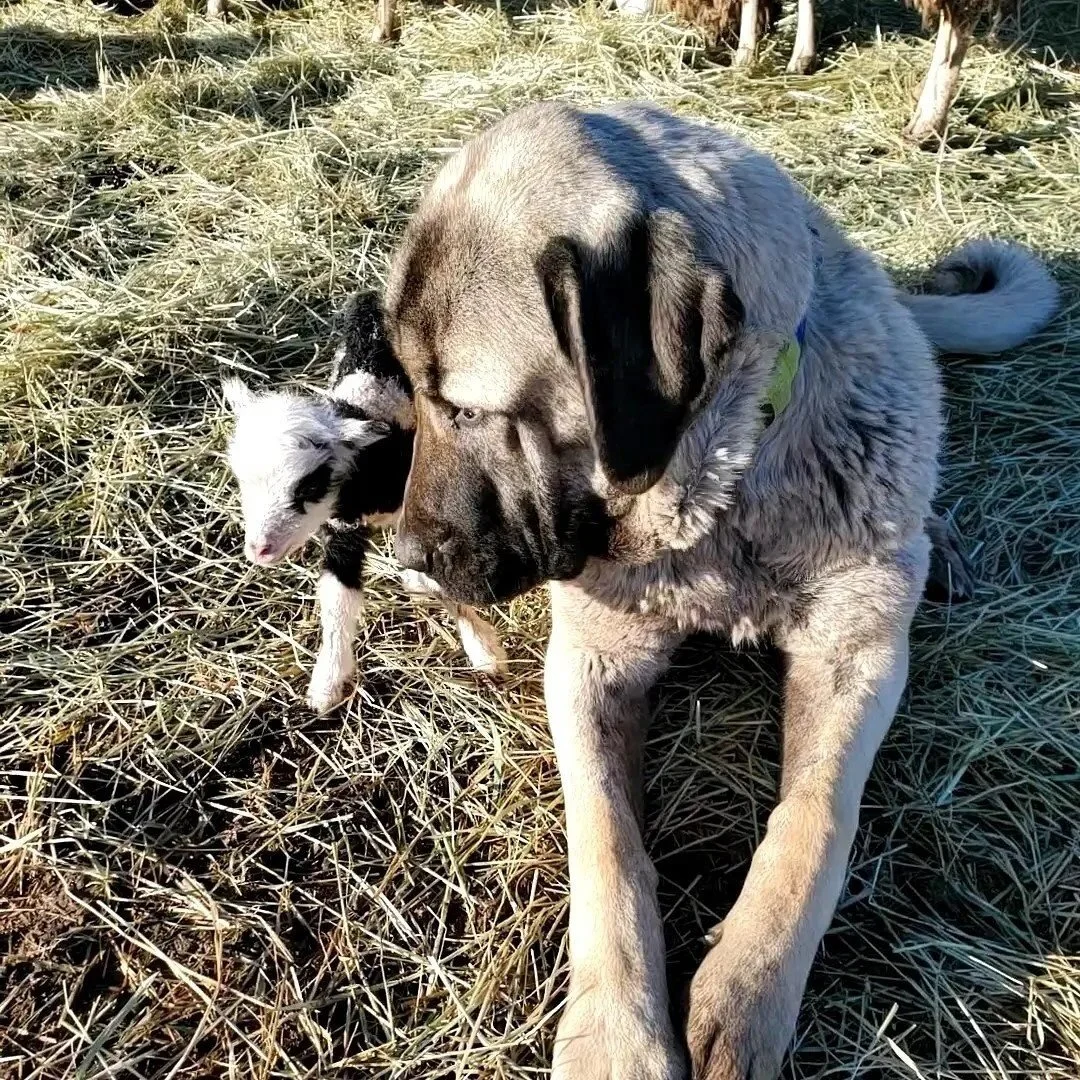 About — River's Edge Ranch