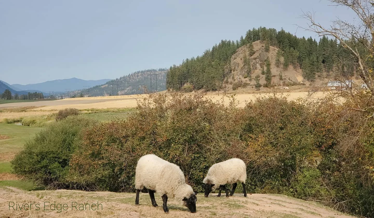 About — River's Edge Ranch