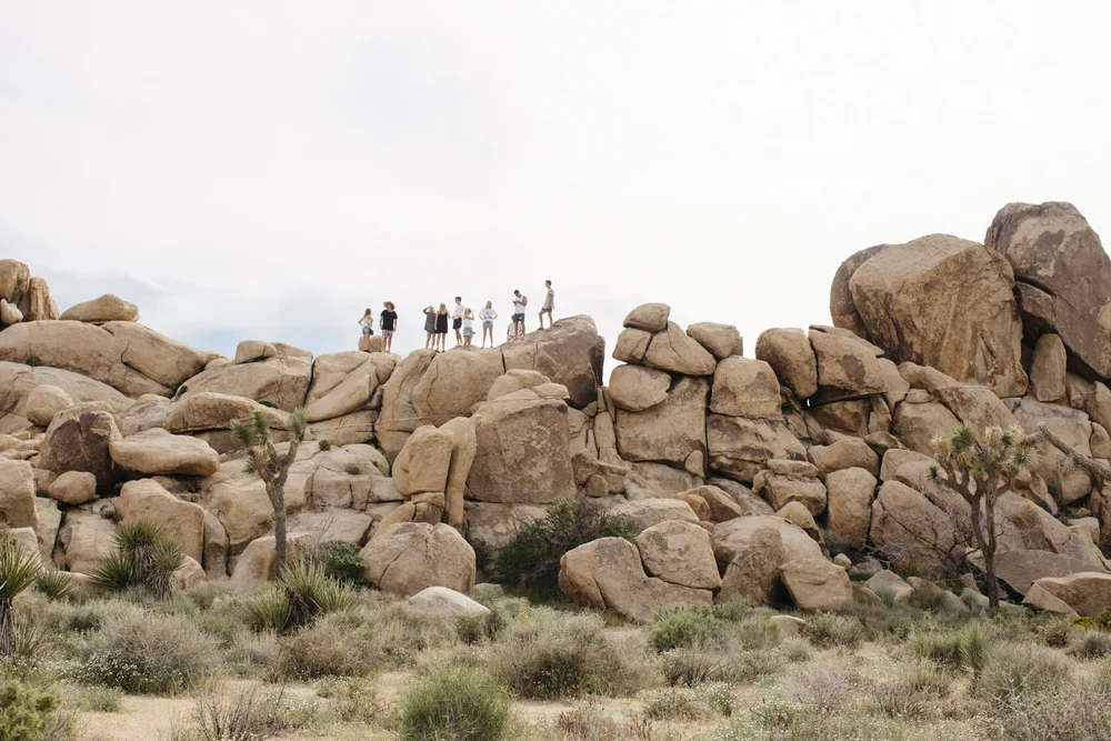 Photographer and Artist Denise Crew Loves Joshua Tree — STORIES