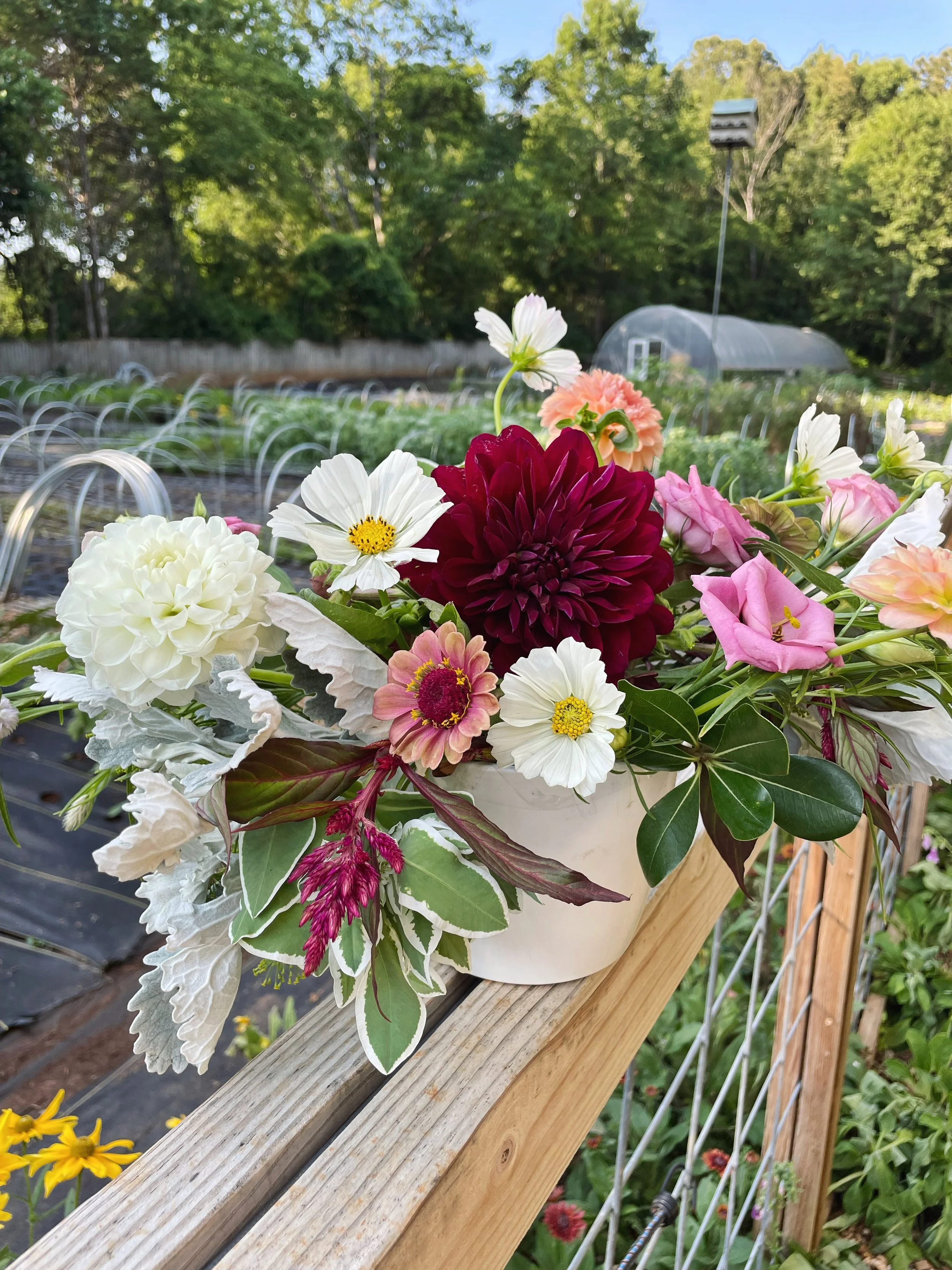 Flourish Flowers — Cultivate Knox