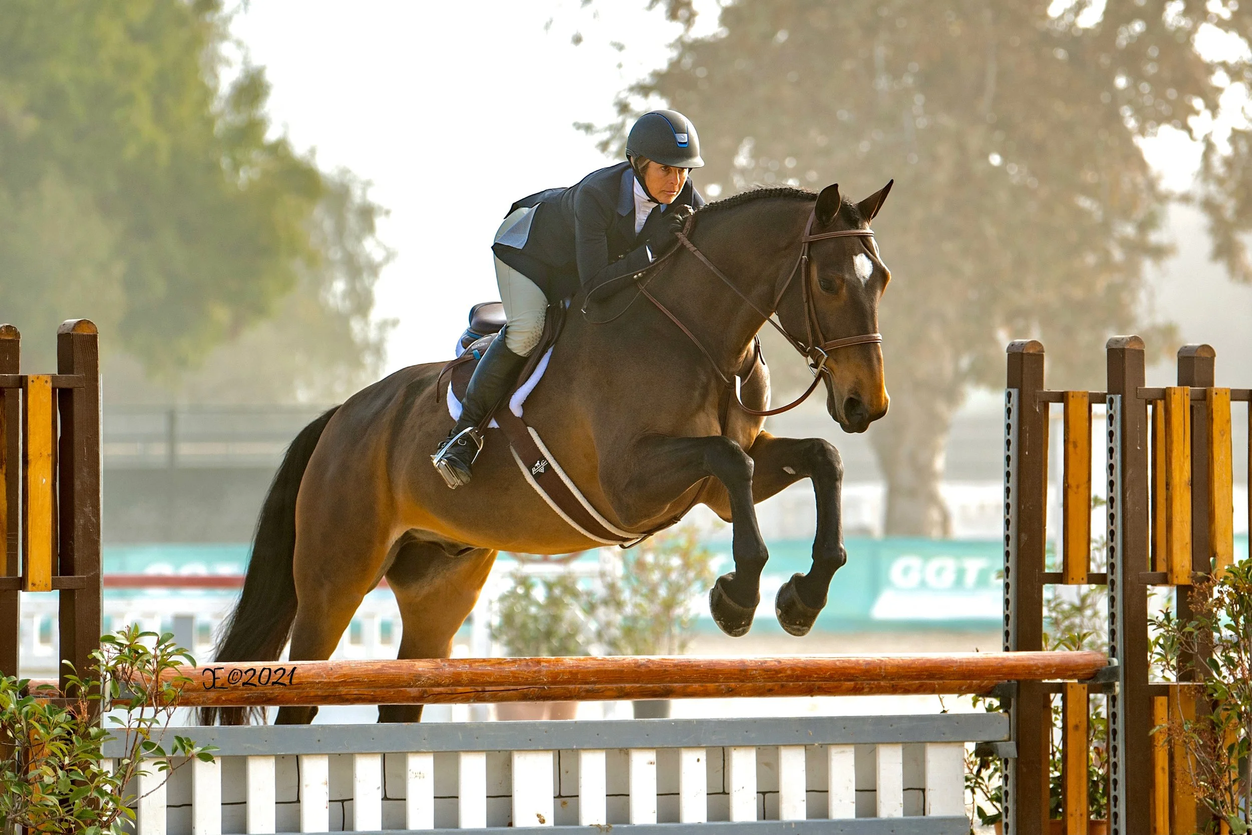 Trainers — The Paddock Riding Club