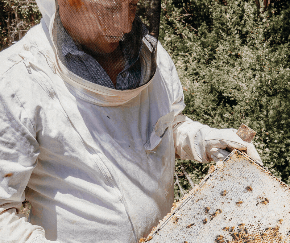 Woodland's Honey — Outstanding Food Producer Awards