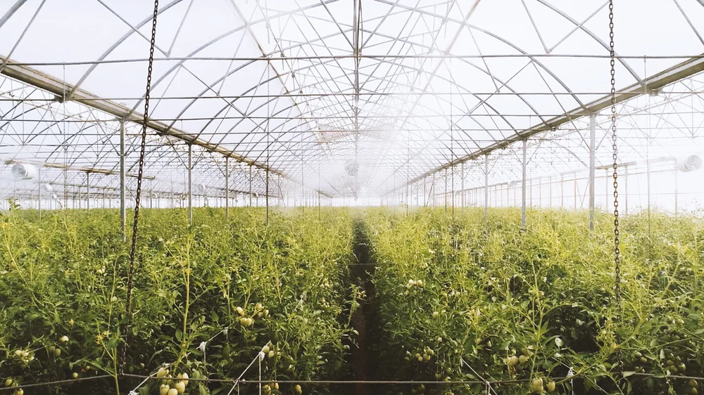 Farm — Naturals Farms