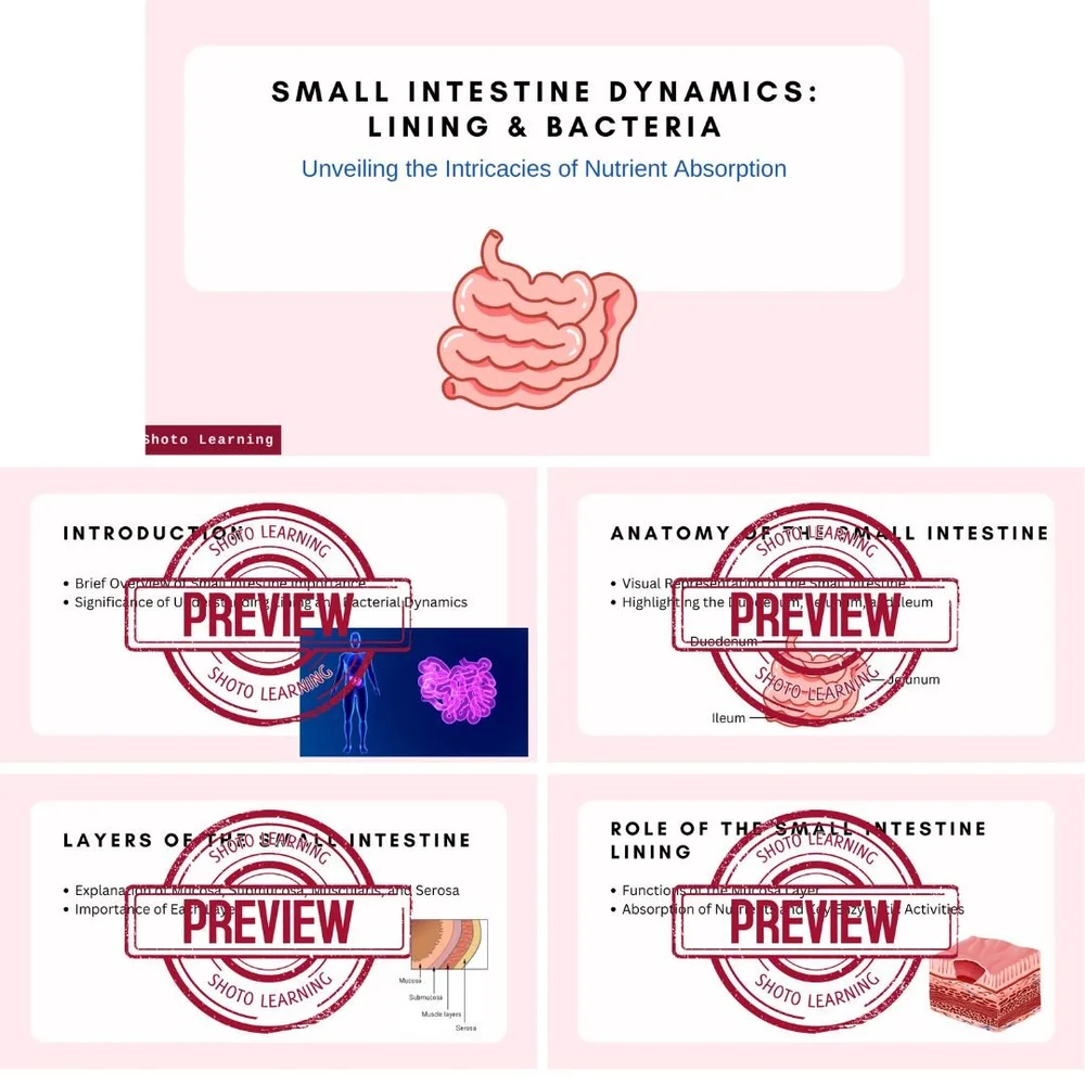 Small Intestine Worksheet: 20 Fill-in-the-Blank Questions