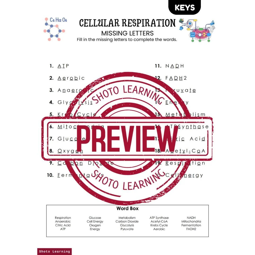 Cellular Respiration Label Worksheet | Word Box & Answer Key