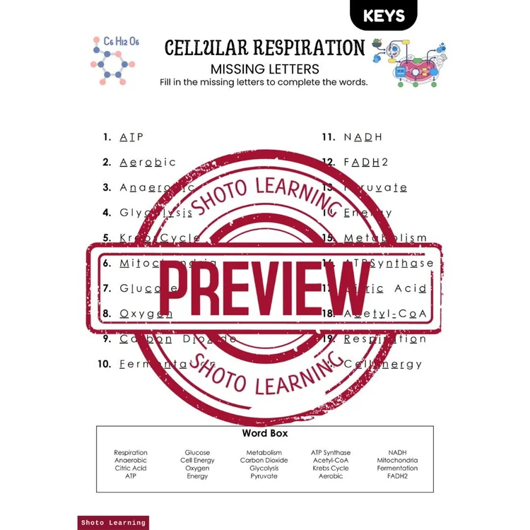 Cellular Respiration Label Worksheet | Word Box & Answer Key