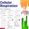 Cellular Respiration Crossword Puzzle | Fun Biology Activity