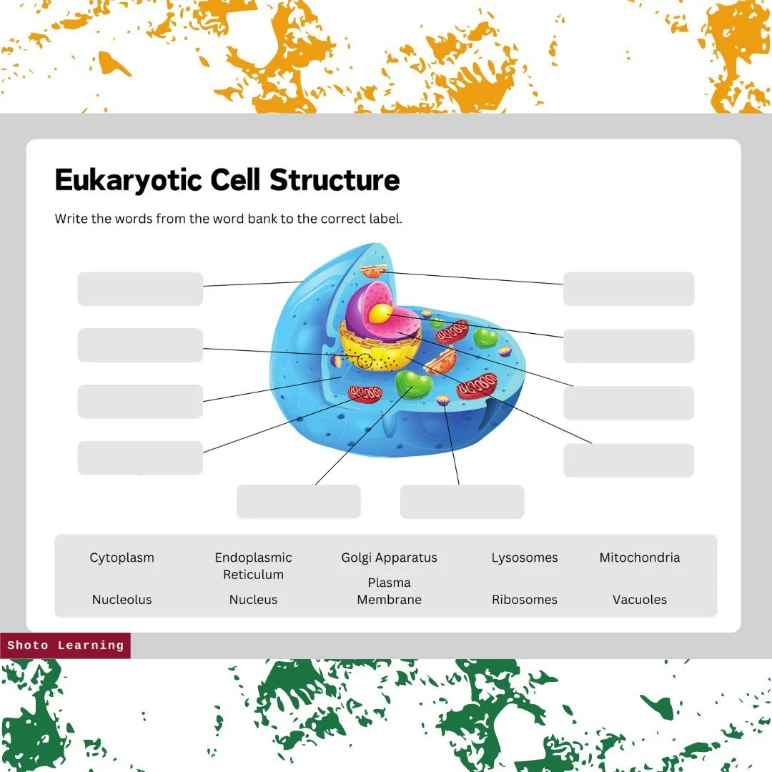 Cell Organelles Word Search Puzzle – Fun Cellular Biology Learning