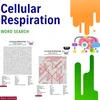 Cellular Respiration Debate Pack – 10 Debates + Answers Included