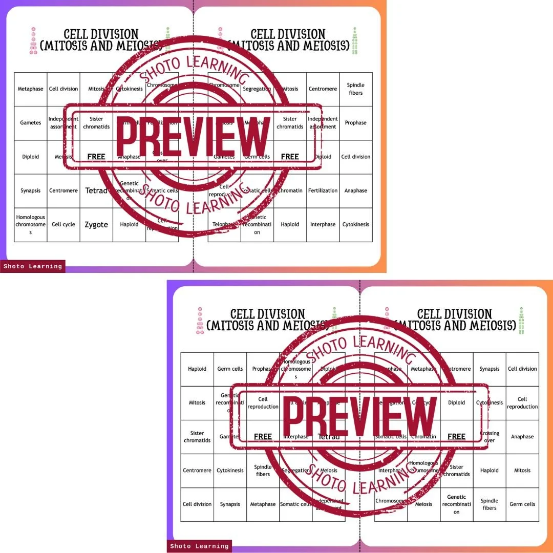 Mitosis vs Meiosis Poster: Visual Guide to Cell Division