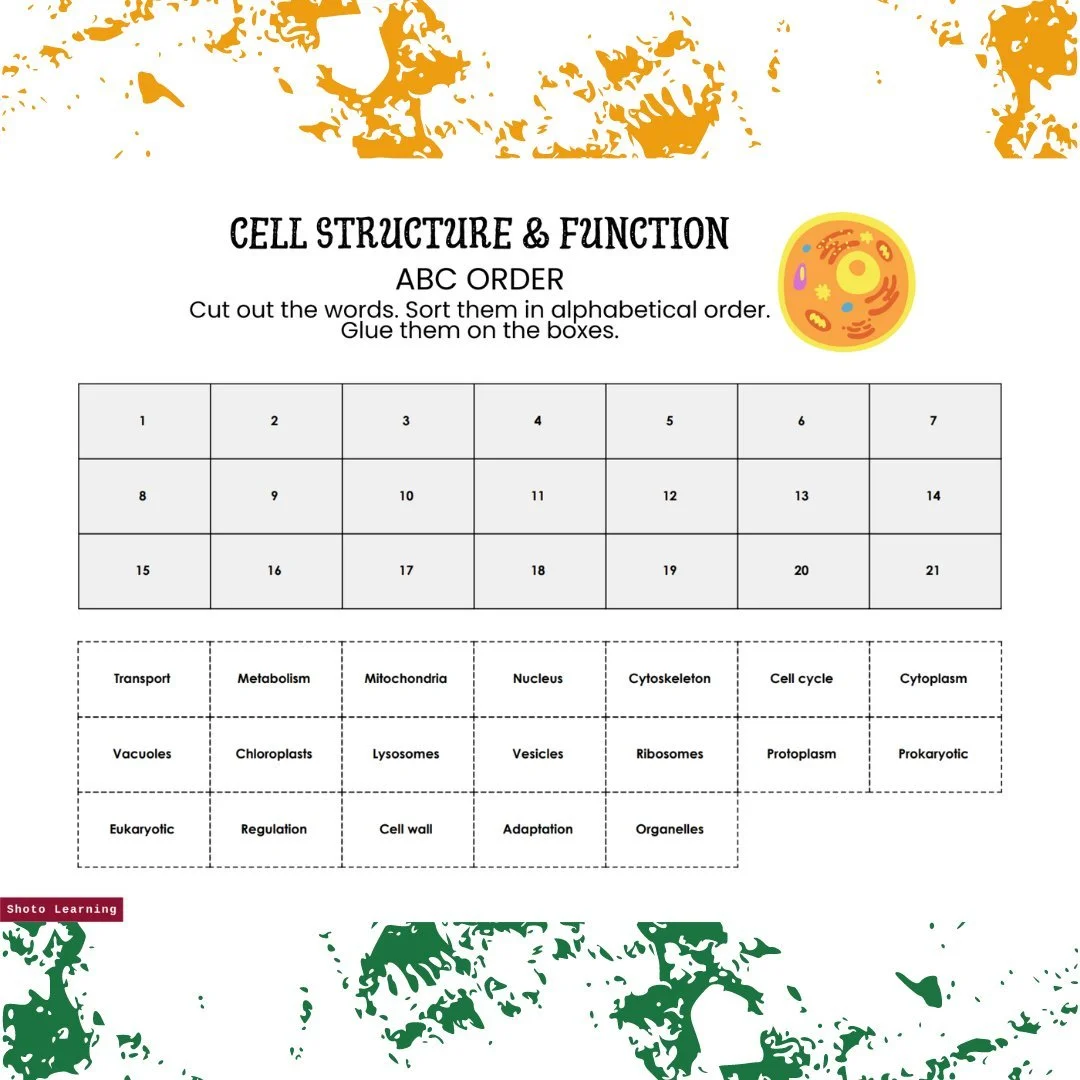 Cell Biology Flashcards: Master Cell Structure & Functions!