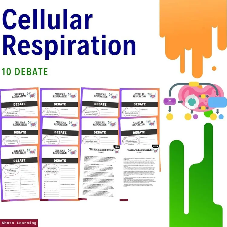 Cellular Respiration Matching Worksheets – 20 Questions & Answer Key