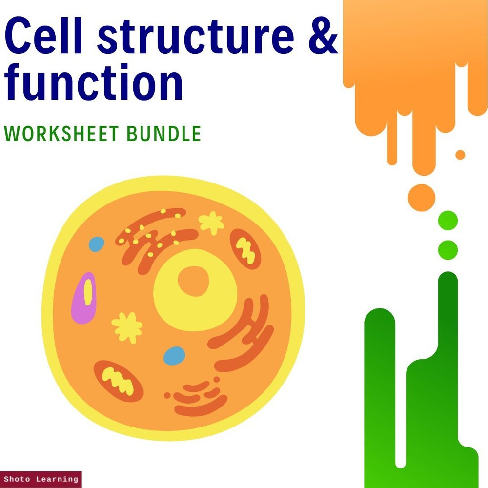 Cell Structure & Function Missing Letter Worksheet | Biology Challenge