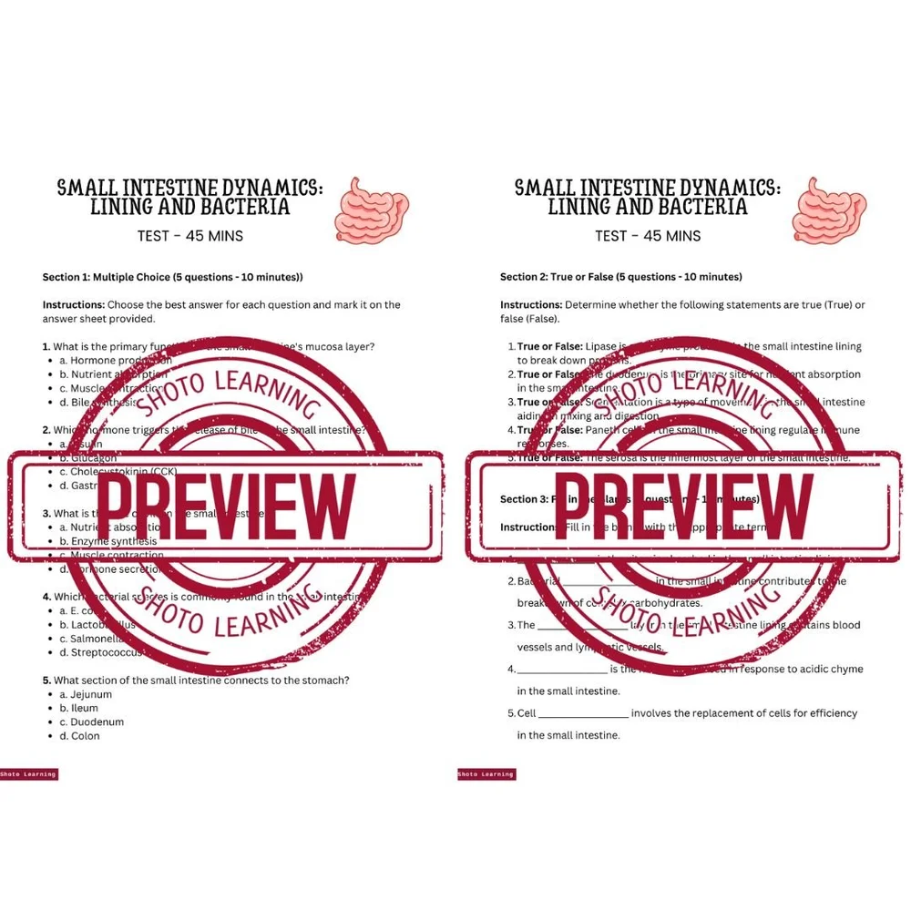 Small Intestine Word Search: Lining & Bacteria Puzzle