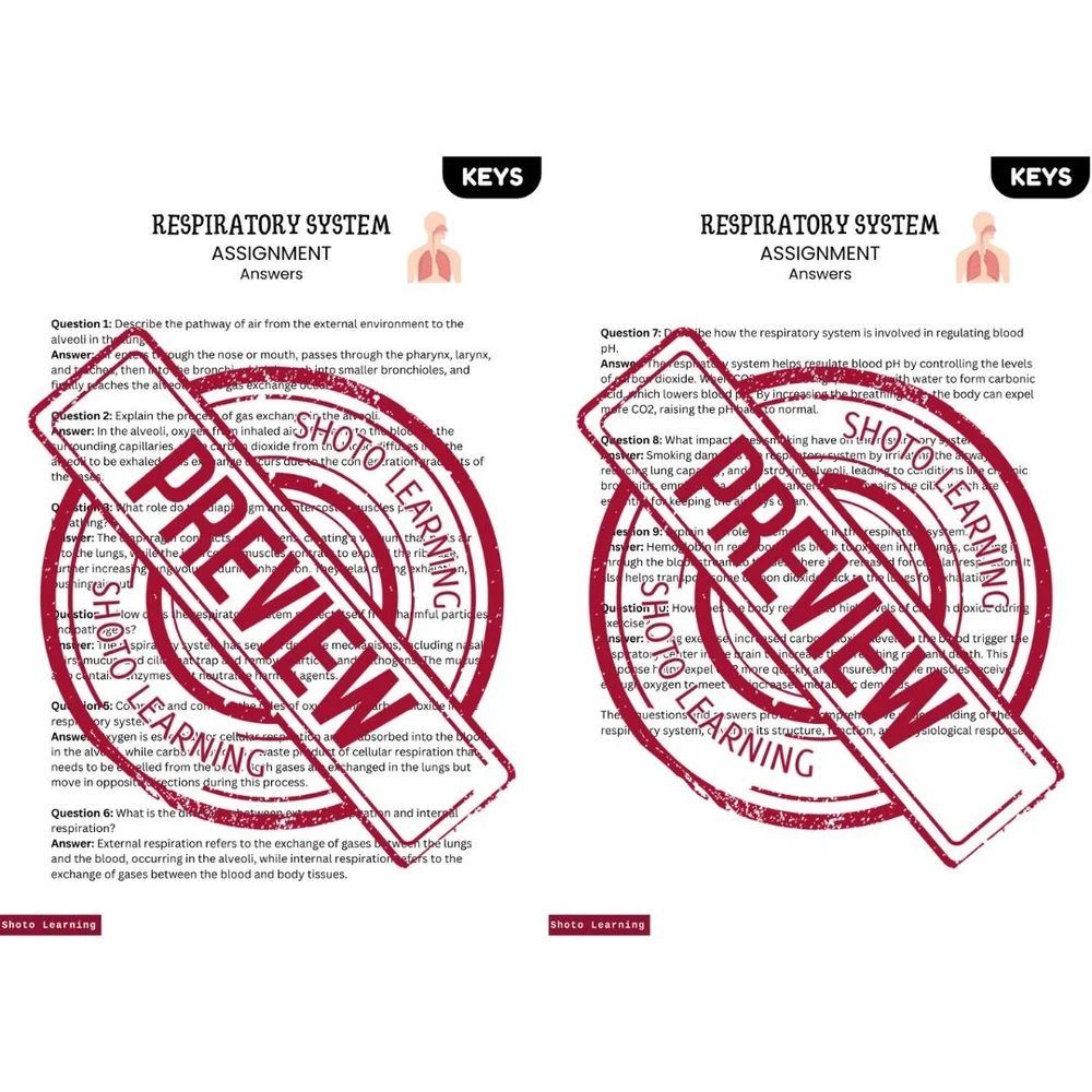Respiratory System Vocabulary: Unscramble Word Worksheet