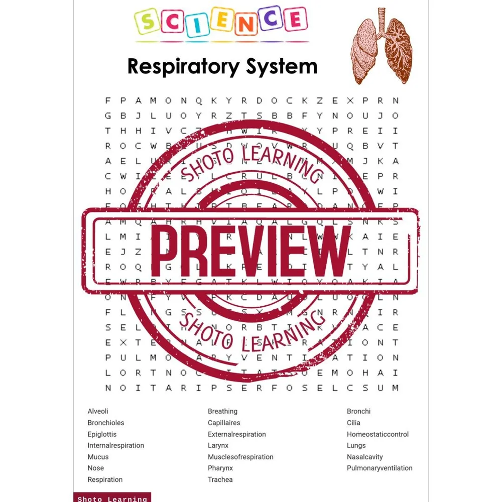 Respiratory System Poster: Learn Anatomy & Function | Free Download