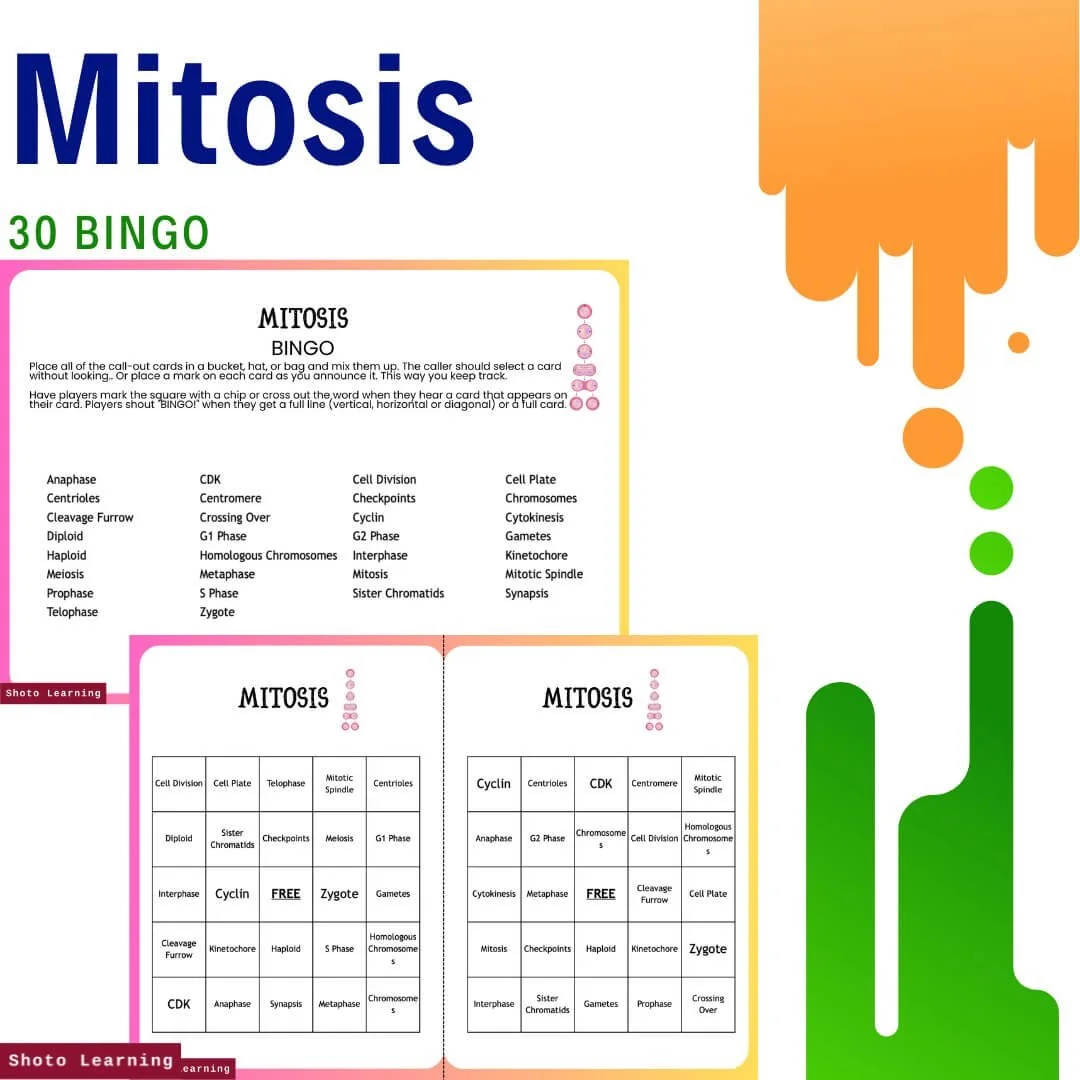 Mitosis Quest: Engaging Word Search Puzzle Worksheet for Students