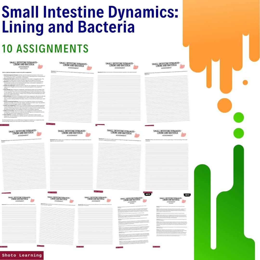 Small Intestine Word Search: Lining & Bacteria Puzzle
