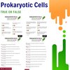 Prokaryotic Cell Q&A Mastery: 20 Questions & Answers