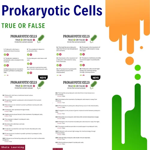 Prokaryotic Cell Q&A Mastery: 20 Questions & Answers