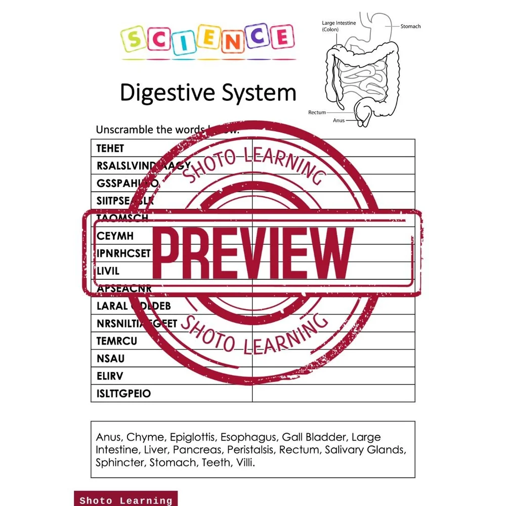 Free Digestive System Poster for Kids & Students