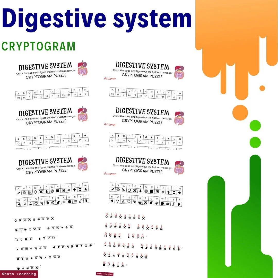 Free Digestive System Poster for Kids & Students