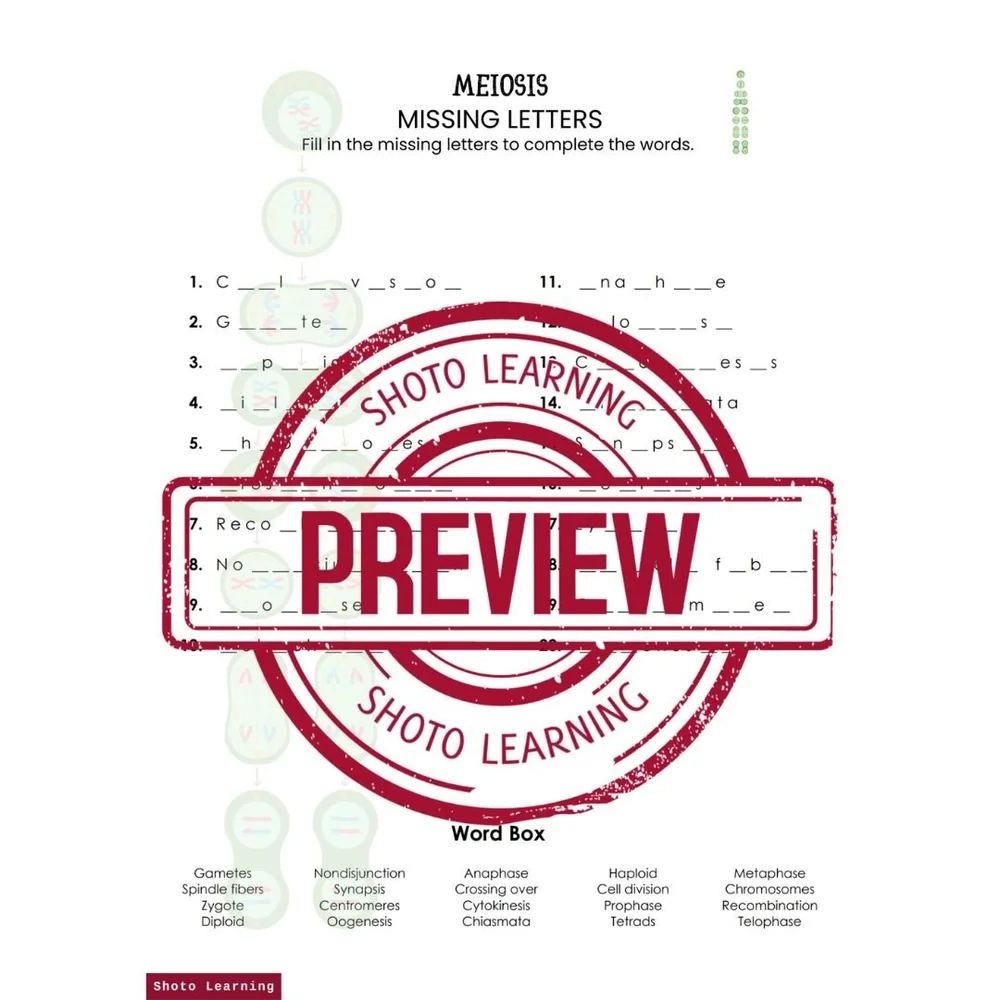 Meiosis Worksheet: 20 Fill-in-the-Blank Questions + Answer Key