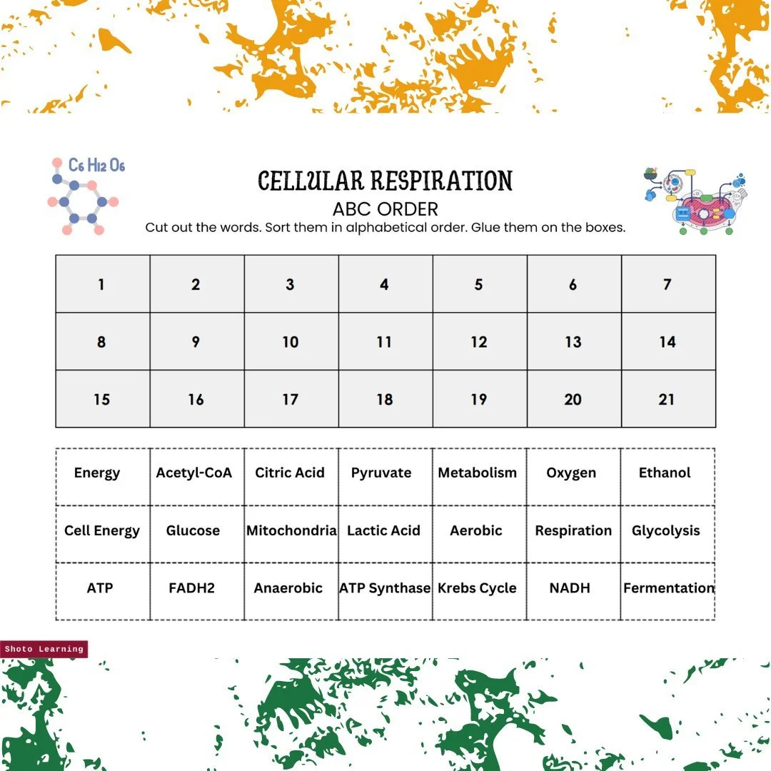 Cellular Respiration Label Worksheet | Word Box & Answer Key