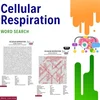 Cellular Respiration Debate Pack – 10 Debates + Answers Included