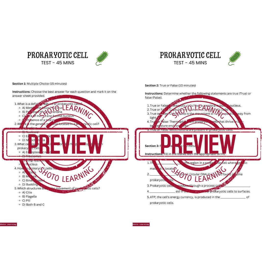 Prokaryotic Cell Mastery: Fill-in-the-Blank Worksheet