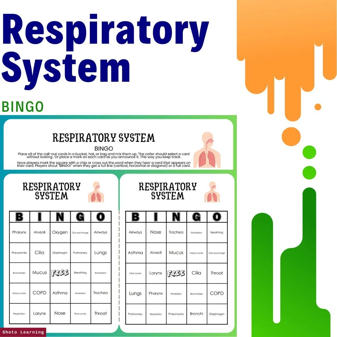 Respiratory System Diagram: Fill in the Blanks and Learn