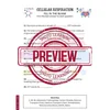 Cellular Respiration Posters Bundle - Visual Learning Tools