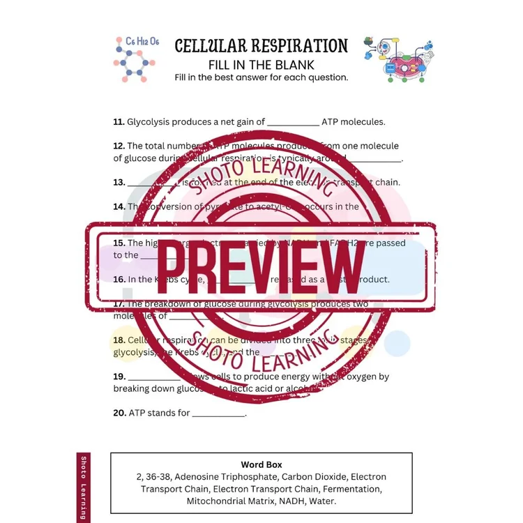 Cellular Respiration Posters Bundle - Visual Learning Tools