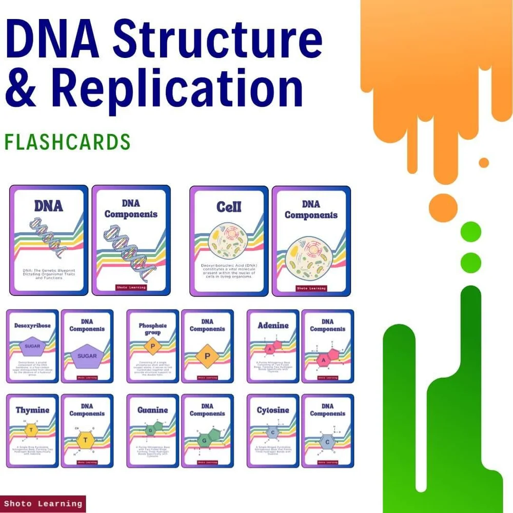 DNA Structure & Replication Mastery Worksheet | Fill in the Blank