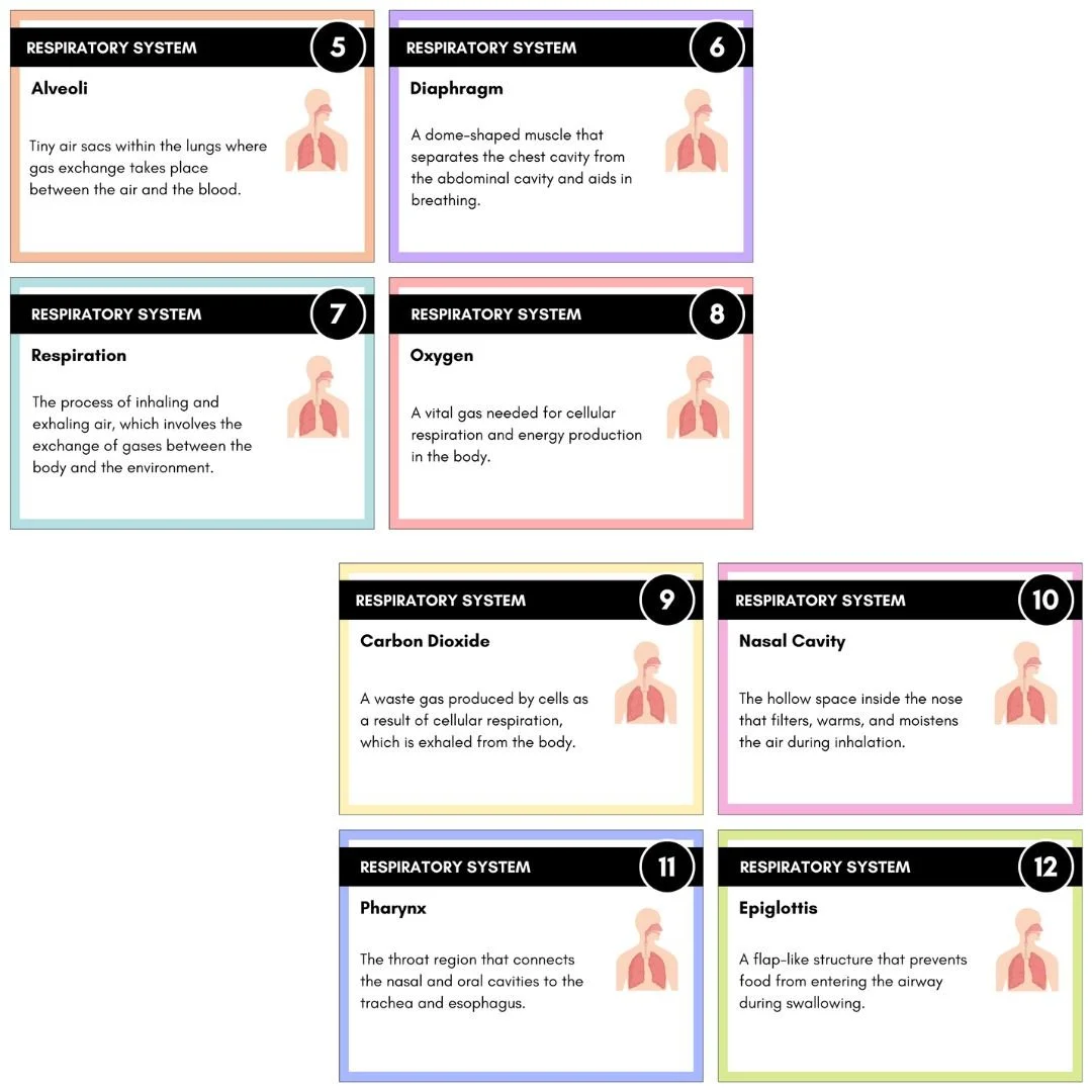 Respiratory System Bingo: Fun Learning Game