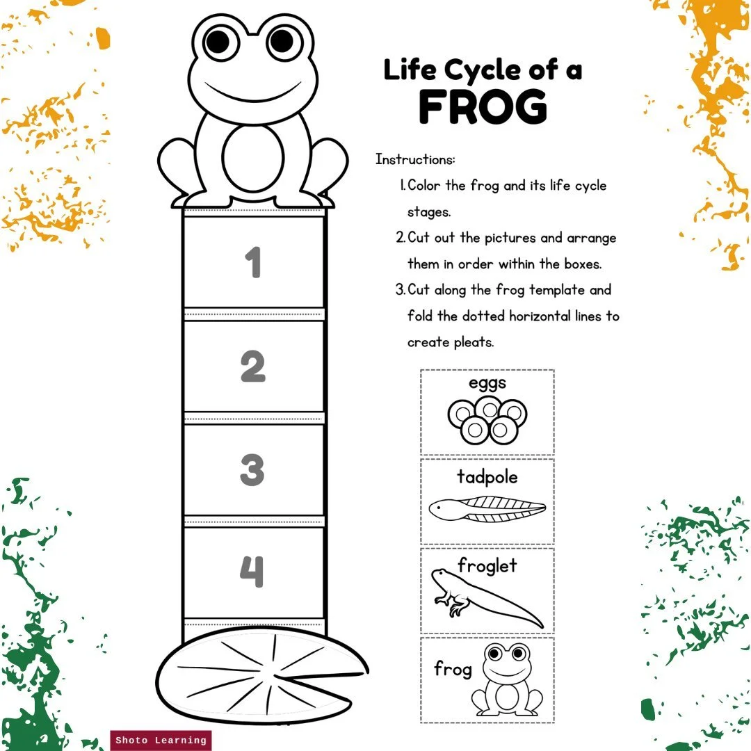 Frog Life Cycle Reading Worksheet with Questions & Answers