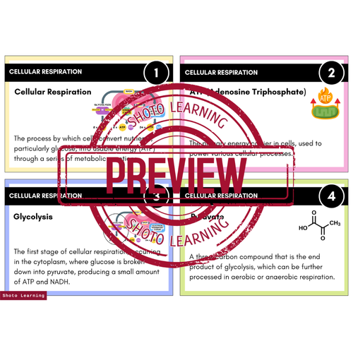 Cellular Respiration Label Worksheet | Word Box & Answer Key
