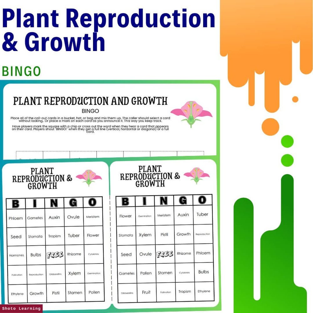 Plant Reproduction and Growth Word Search for Fun Learning