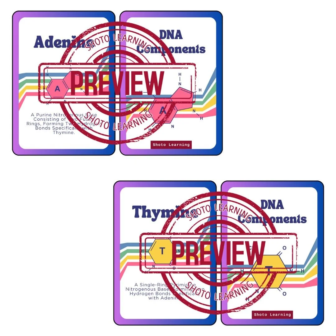 DNA Structure & Replication Mastery Worksheet | Fill in the Blank