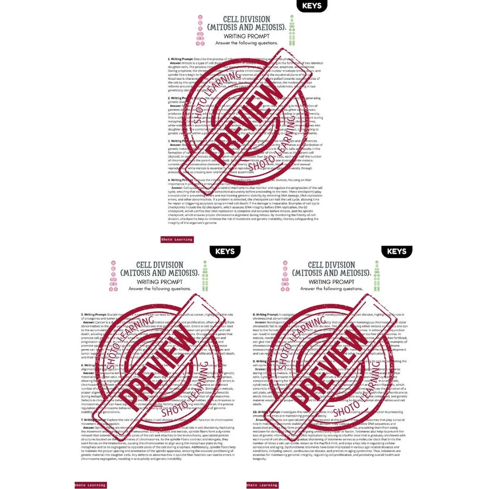Mitosis vs Meiosis Poster: Visual Guide to Cell Division